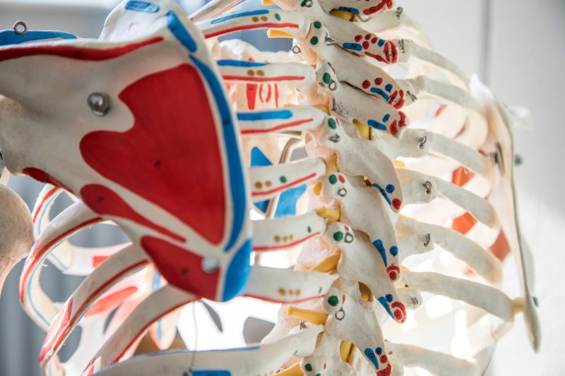 Exercises You Should Be Doing: This Is One That Will Make Your ...